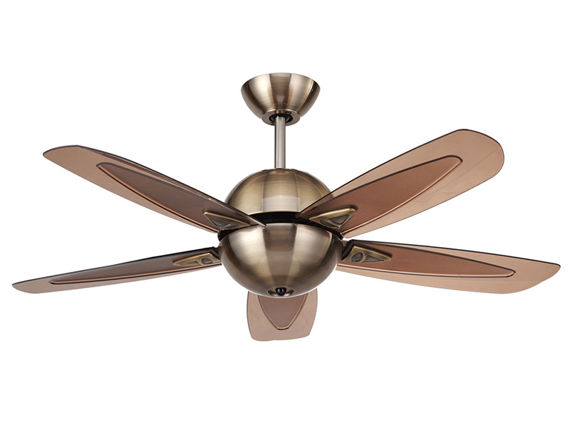 Ellington Surfboard Ceiling Fan | Shelly Lighting