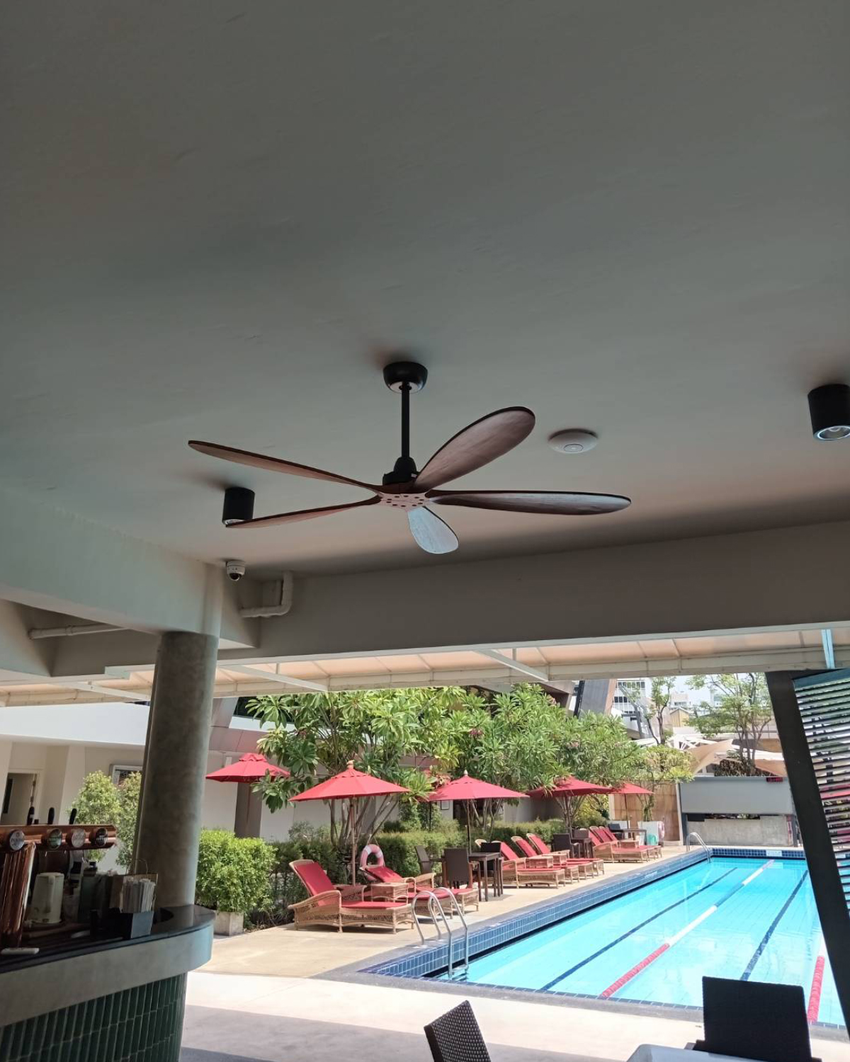 เครดิตภาพ : สมาคมสโมสรอังกฤกษ - Winfavourfan